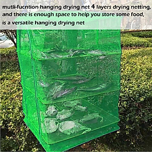 WEISGJA Hanging Drying Rack 4 Layers Foldable Nylon Netting, Folding Fish Mesh, Drying Fish Net for Shrimp Fish Fruit Vegetables Herb, with Zipper Opening, Green (22.4X15.7X25.5 in/Large)