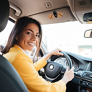 Tallew 6 Pcs Car Glasses Holders Sunglasses Holder Clip Glasses Sun Visor Clip Eyeglasses Mount for Sunglasses Car Supplies (Black)