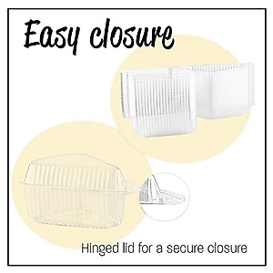 Cake Slice Container-Clear Cake Cheesecake Pie Slice Containers with Medium Dome Lid, Disposable Hinged, Pack of 50