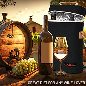 Insulated Leakproof Wine Cooler Bag, Portable Padded Wine Bottle Carrier for Picnic, BYOB, Restaurant, Beach - 2 Bottle, 14" x 9.2" x 4" (Black)