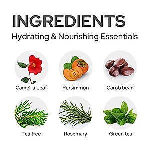 DUFT & DOFT Soapy Soapy Perfumed Hair Shampoo 500ml (16.9 fl.oz.) - Refreshing Clean Soapy Scent, Hypoallergenic pH-Balanced Scalp Care Soft Foaming Silicone-Free Shampoo, Refreshing Fragrance