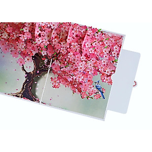 PQ Bees Pop Up Birthdays Card for Women Mom Grandma Wife | 3D Mother’s Day Anniversary Get Well Soon Thank You Valentines Day Card (Size 6x8 In – Cherry Blossom BlueJay Bird).