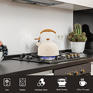 2.6 Quart/2.5 Liter Whistling Tea Kettle Stainless Steel Tea Pots for Stove Top Stylish Kettle With Wood Pattern Anti-slip Handle, White