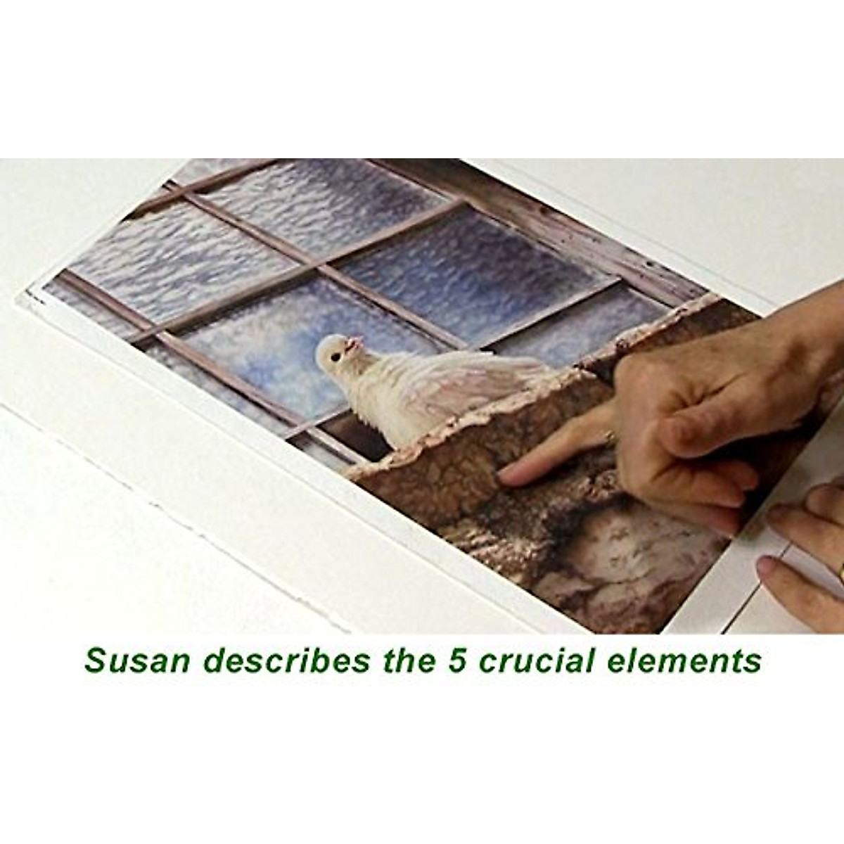 Susan Harrison-Tustain's Watercolor Masterclass Volume One. Life-like leaves, vibrant greens and 5 crucial elements for a successful painting.