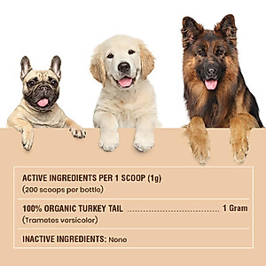 Special Breed Turkey Tail Mushroom for Dogs and Cats - Certified Organic Turkey Tail Powder, Canine Immune Support, 200 Grams