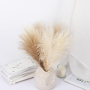lulute 6 Stems Faux Pampas Grass,17 inch/45cm Artificial Pampas Grass,Fake Dried Pompous Grass Branches Decor for Home Kitchen Garden Party Photographing,Flower Arrangement Vase(Beige Taupe)