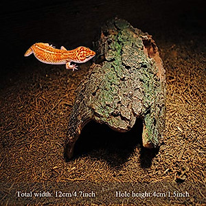 Reptile Habitat Decor Hideouts Critter Cavern Bark Bends Resin Ornament Hiding Place for Leopard Gecko Cichlids Spiders Lizards Snakes