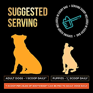 PET Care Science 8 lbs of Dog Weight Gainer - Weight Gain Supplements for Dogs - Canine and Dog Muscle Builder - Dog Protein Powder - High Calorie Dog Food Supplement