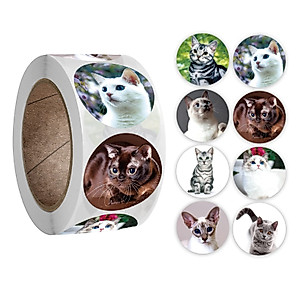 1000 Pieces Mini Cute Cat Stickers for Kids Reward Stickers Sealing Stickers in 16 Designs (1 Inch Diameter)