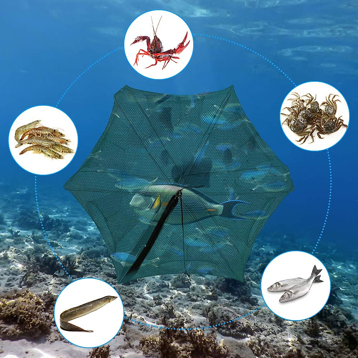 Fishing Bait Foldable Net Trap 6/12 Holes Portable Bait Traps Fishing Net Trap Automatic Fishing Net Shrimp Cage Nylon Crab Fish Trap Cast (6 Holes)