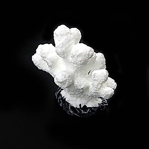 Semetall 2Pcs Sea Coral Aquarium Ornament, Artificial Sea Coral Plants Decorations for Fish Tank and Aquarium(White)