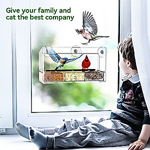 DY-SKTY Clear Window Bird Feeder with 6 Strong Suction Cups and Detachable Seed Tray for Outside, Large Transparent Acrylic Wild Birds House Cat Kids and Elderly Viewing Bird Feeder for Window Perch