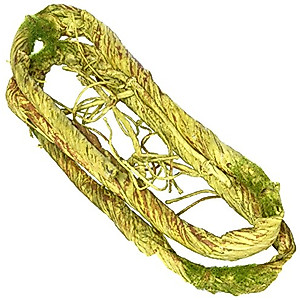 Penn-Plax REP401 Reptile Decoration