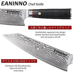 EANINNO Damascus Chef Knife 8 Inch Japanese Kitchen Knife, Sharp Professional Chefs Knife 67 Layers High Carbon Damascus Stainless Steel Vg10 Cutting Knife