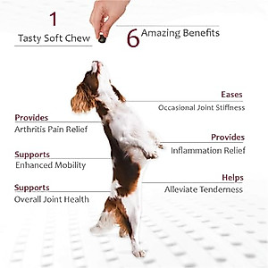 Joint MAX TS Joint Supplement Vet Formulated Pain & Inflammation Relief Treats Hip Dysplasia & Arthritis.Glucosamine, Chondroitin, Turmeric, MSM, HA, Creatine, Omega 3 EPA+DHA. All Dogs 240 Soft Chews