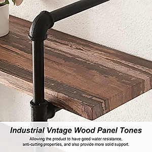HOMISSUE 2-Shelf Rustic Pipe Shelving Unit, Vintage Industrial Pipe Wall Shelf, Retro Brown