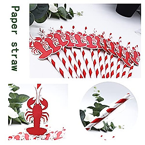 Lobster Paper Straws Decor-24 Pack of Crawfish Birthday Party or Christmas Paper Straws Supplies-Red and White Disposable Striped Paper Decorative Drinking Straws for Seafood Party Decorations
