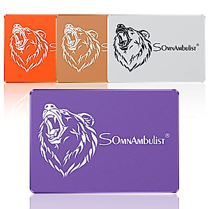 Somnambulist SSD SATAIII Hard Drive 2.5 SSD 120GB 480GB 512GB Hard Drive Internal Solid State Drive (Purple Bear Head 240GB)