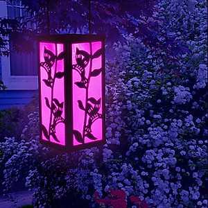 A-FFORDABLE Outdoor Garden Reflection Hummingbird & Plant Lantern Color Change Solar Light for Home Patio Deck Lawn Yard Holiday Decor