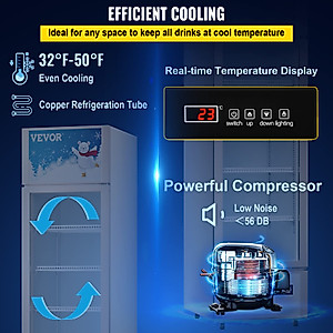 VEVOR Commercial Refrigerator,Display Fridge Upright Beverage Cooler, Glass Door with LED Light for Home, Store, Gym or Office, (11 cu.ft. Single Swing Door)