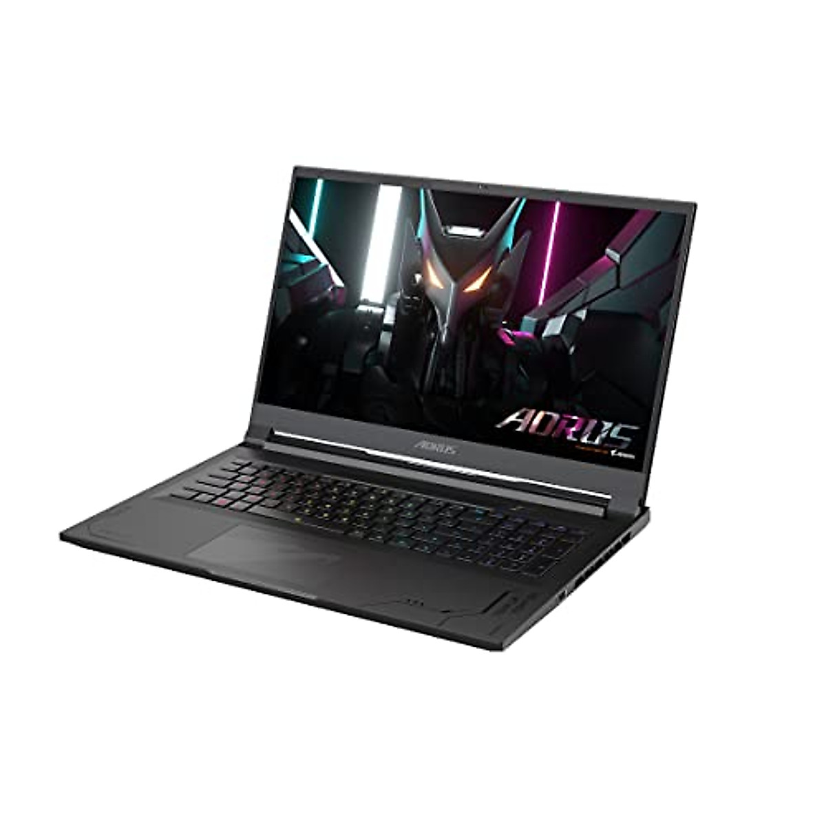 Gigabyte AORUS 17X: 17.3" Thin Bezel QHD 2560x1440 240Hz Display, NVIDIA GeForce RTX 4090 Laptop GPU 16GB GDDR6, Intel Core i9-13950HX,32GB DDR5 RAM, 2TB SSD, Win11 Pro(AORUS 17X AZF-C5US665SP), Black