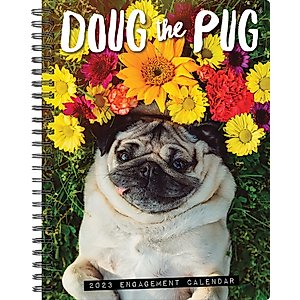 Doug the Pug 2023 Engagement Calendar