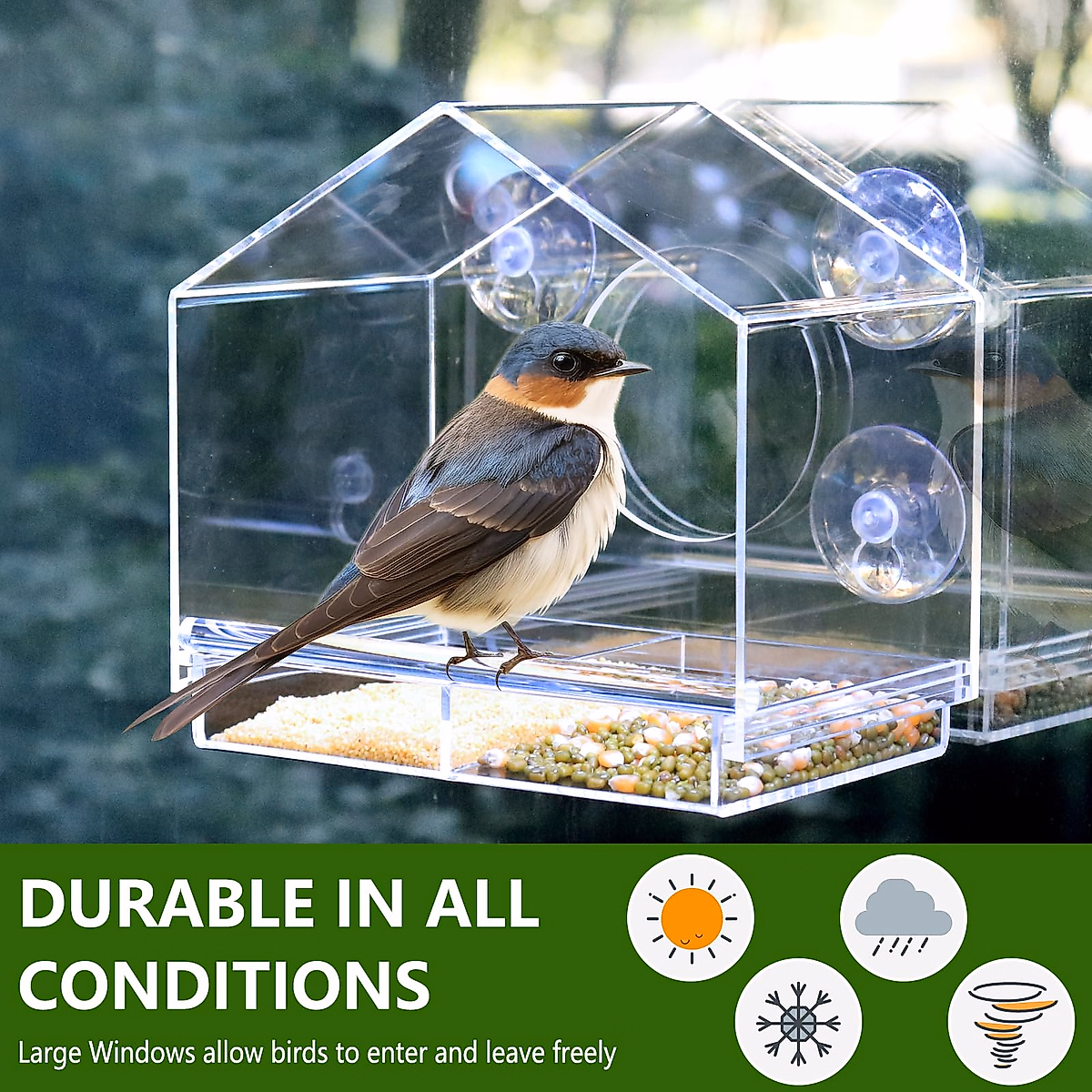 XTKS Bird Feeder, Hanging Bird Seed Feeder, Bird Feeding Station Outdoor Window Bird Feeder with Ultra-Strong Suction Cups - Perfect for Attracting Cardinals, Finches, Chickadees