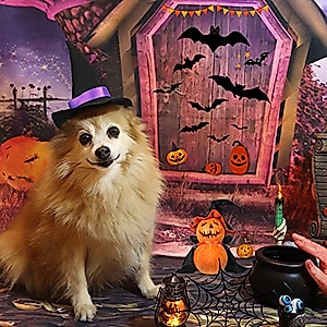 6 Pieces Halloween Cat Witch Hat Puppy Halloween Cosplay Witch Hats with Adjustable Elastic Chin Strap for Pets Cats Small Dogs Cosplay Outfit Halloween Costume Party Decoration Accessories, 2 Styles