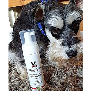 Warren London Foaming Pet Facial | Tear Free Dog Face Wash | Tearless Dog Shampoo for Faces & Dog Eye Stain Remover | Refreshing Cucumber Melon Wash | Made in USA | 8oz