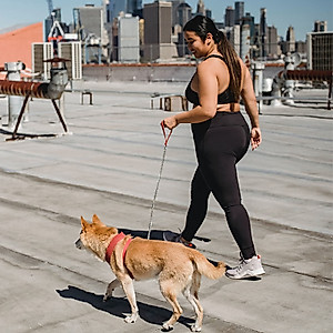 Hi Clasmix Plus Size Leggings for Women-High Waisted Super Soft Maternity Black Leggings Yoga Pants(2 Pack Black,XX-Large)