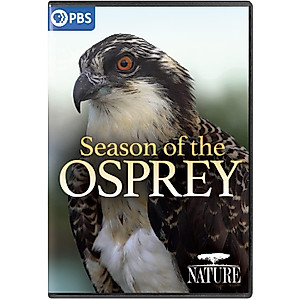 Nature: Season of the Osprey