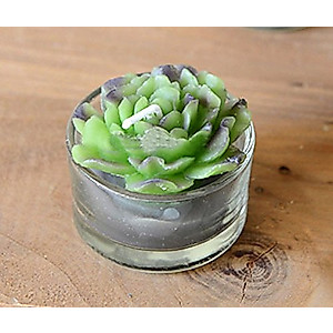 WISDOMTOY Holiday Party Succulents Mini Green Meat Plant Romantic Candle Decoration, Set of 4