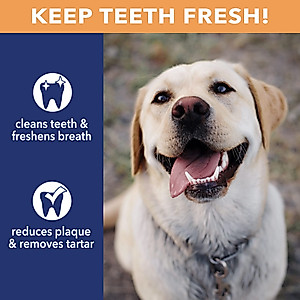 Pet Factory CareChewz Collagen 6-7" Twist Keys Dog Chew Treats - Natural Flavor, 6 Count/1 Pack