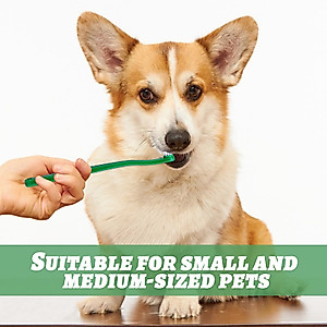 2Pcs Dog Toothbrush Soft Pet Toothbrush with Long Handle Pet Cat Dental Care Oral Hygiene Toothbrush Dog Dental Care Kit for Puppy, Kitten, Cats Small Breed Dogs