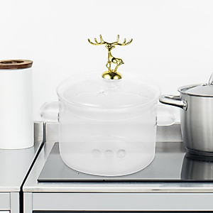 GANAZONO Glass Cooking Pot Clear Glass Saucepan Heat Resistant Borosilicate Glass Pot with Lid and Handle Stovetop Simmer Pot Potpourri for Ramen Noodle Soup Milk Vegetable