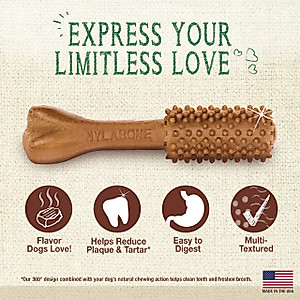 Nylabone Nutri Dent Dog Dental Chews - Natural Dog Teeth Cleaning & Breath Freshener - Dental Treats for Dogs - Filet Mignon Flavor, Large (20 Count)