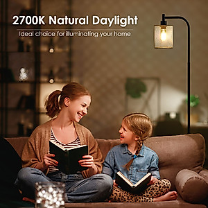 BoostArea Industrial Floor Lamp, Standing Lamp with Hanging Iron Mesh Lamp Shade, 6W LED Bulb, Whole Metal Farmhouse Floor Lamp with Foot Switch, Rustic Floor Lamps for Living Room Bedroom, Black