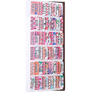 Colorful Coral Bible Tabs Laminated with Matte Film, Cute Bible tabs for Women and Girl, 90 Bible Index tabs in Total, 66 tabs for Old and New Testament, Additional 24 Blank tabs (Coral)