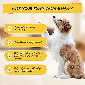 IFOYO Puppy Heartbeat Toy, Anxiety Relief and Calming Aid, Heartbeat Stuffed Animal for Puppy Sleep Aid Crate Training, Puppy Needs Puppy Essential