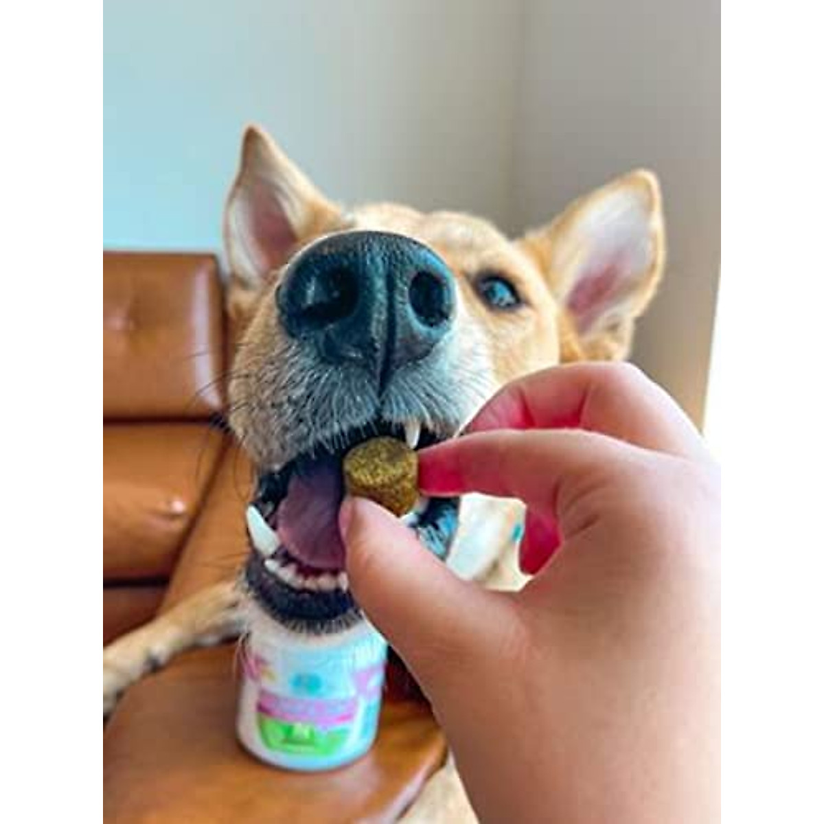 Four Paws Healthy Promise Advanced Formula Hip & Joint Supplement for Dogs Soft Chews 48 Count