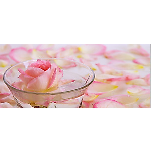 Rose Hydrosol Water Spray Toner 32 oz for Face Hydrating Mist Hydration Pure & Natural Rosewater Hydrosol All Skin Types Face Skin Pores Body Locs Cleansing Bulk Refill COCOJOJO - Packaging May Vary