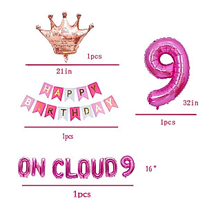 pink on cloud 9 th birthday