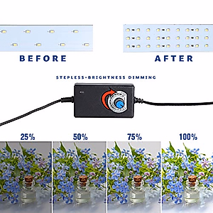 Finnhomy 24x24 Photo Box Professional Portable Photo Studio Photo Light Studio Photo Tent Light Box Table Top Photography Shooting Tent Box Lighting Kit