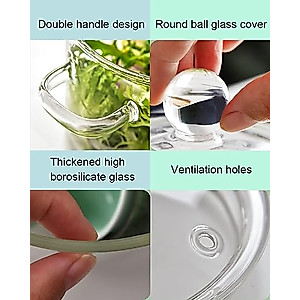 Glass Pots for Cooking on Stove, 2 Quart/64 Oz Heat-Resistant Clear Pots and Pans Set, Glass Cookware with Cover, for Fruits, Salads, Soups, Milk, and Baby Food, Easy Monitoring of Food While Cooking