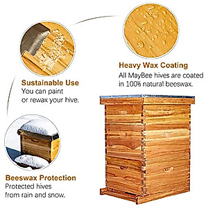 10-Frame Langstroth Beehive Dipped in 100% Beeswax, Complete Bee Hives and Supplies Starter Kit Includes 2 Deep Hive Bee Box and 1 Bee Hive Super with Beehive Frames and Foundation