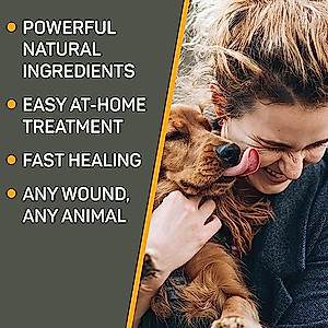 Absorbine Silver Honey Hot Spot & Wound Care Spray Gel (2) 8oz Bottles, Manuka Honey & MicroSilver BG, Medicated for Dogs, Cats, Small Animals