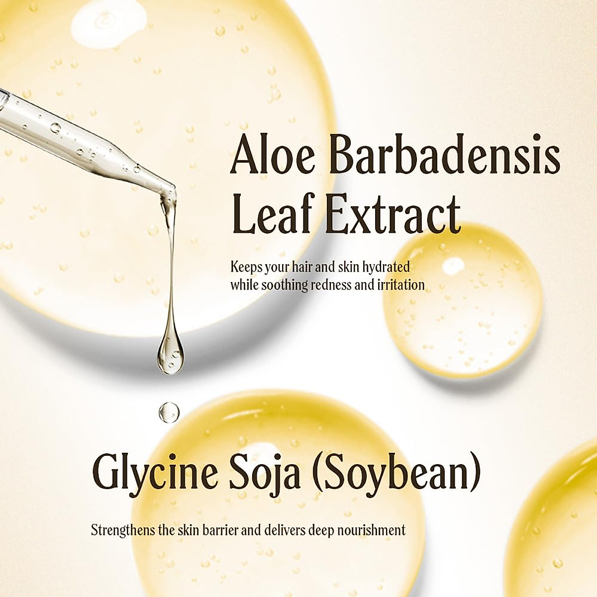 Well's Oil Aloe Vera Oil - Hydrating, Strengthening & Nourishing | Hair Growth & Sunburn Relief | All Natural | For Skin and Hair Care (2 Fl Oz / 60 ml)