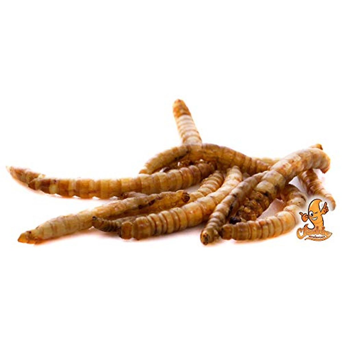 Chubby Mealworms Bulk Dried Mealworms for Wild Birds, Chickens etc. (2Lbs)