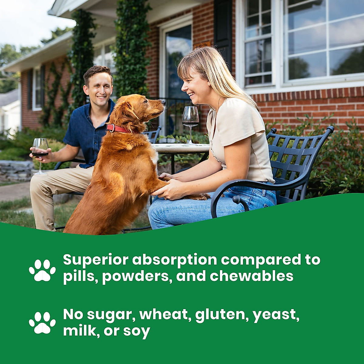 Vegetarian Glucosamine for Dogs - Vegetarian Glucosamine Without Shellfish - Msm Supplement for Pain - Vet Recommended Glucosamine Vegetarian - Arthritis Medicine & Glucosamine with Msm (16 oz)