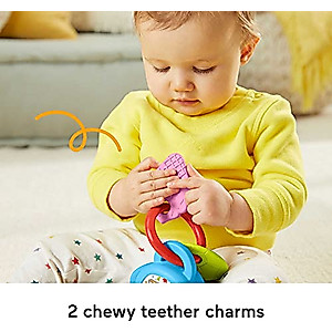 Fisher-Price Laugh & Learn Baby & Toddler Toy Digipuppy Pretend Digital Pet With Music & Lights For Ages 6+ Months